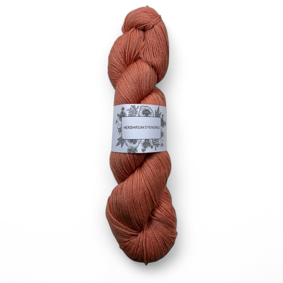 BFL Sock - Salamander – Herbarium Dyeworks
